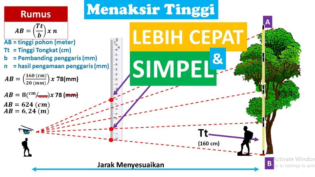 Cara Menaksir Tinggi dan Lebar Menggunakan Kompas - opoto.org